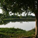 BDP-SAM lidera en finanzas verdes y refuerza su compromiso con el medio ambiente – BolNews